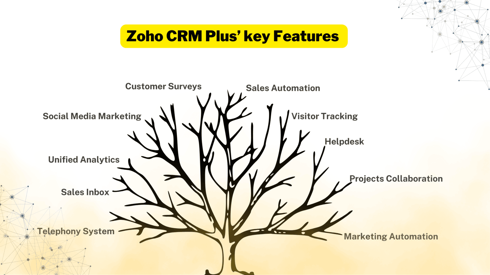 Enhancing Customer Relationships Exploring Zoho Crm Plus It